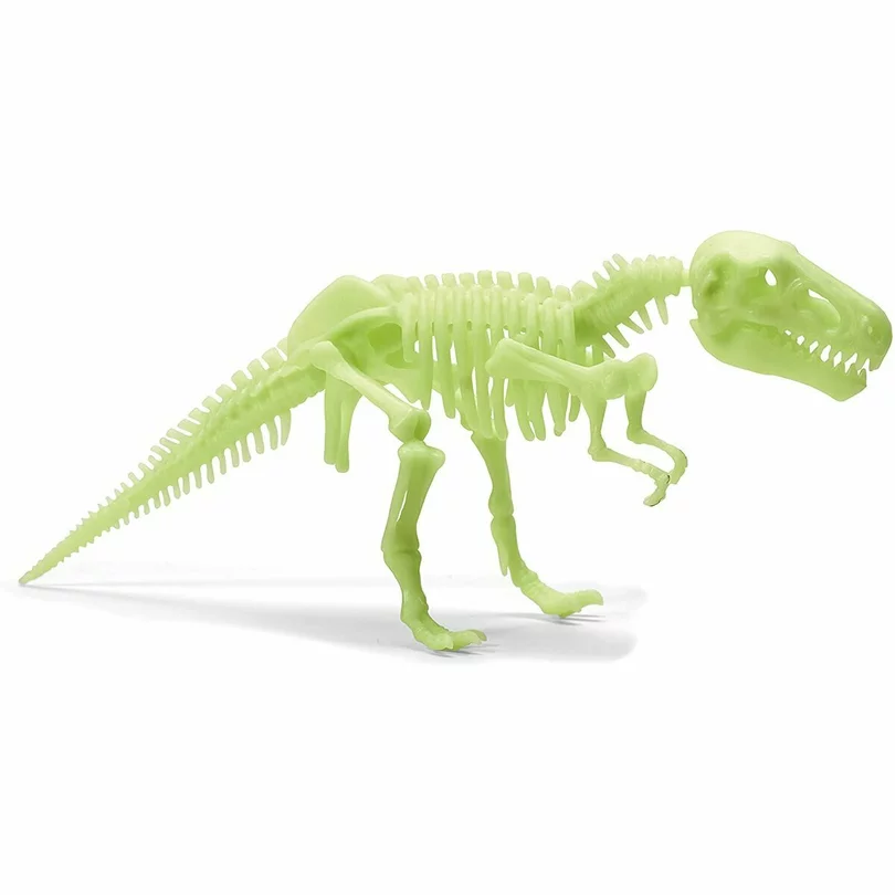 Schelet T-Rex reflectorizant